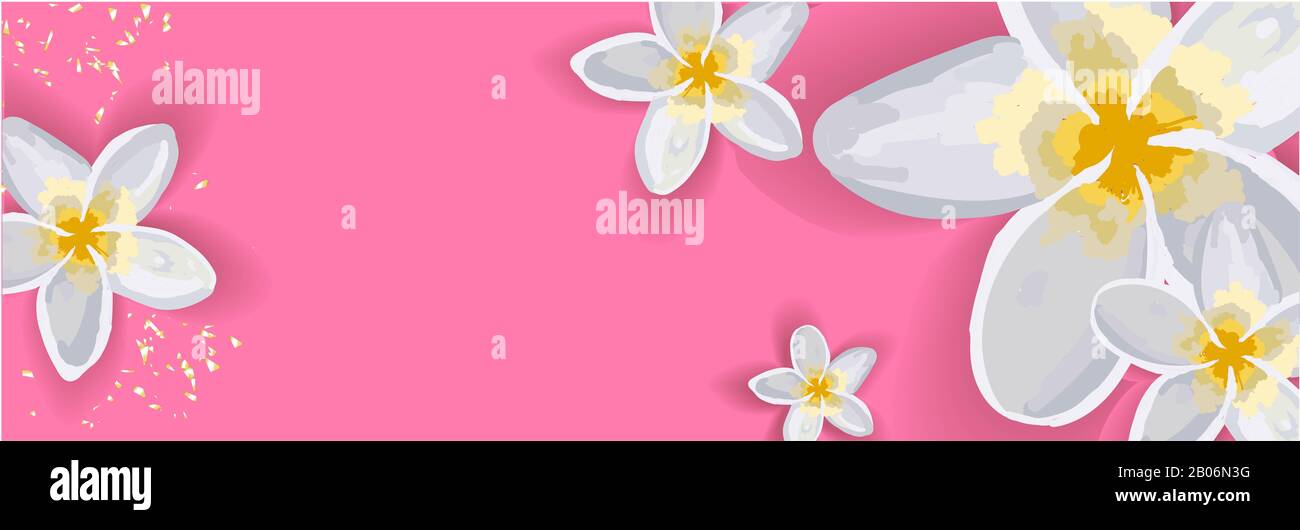Bright spring background for an inscription. The flowers are white ...