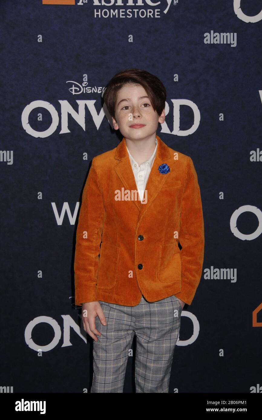 Los Angeles, USA. 18th Feb 2020. Paxton Booth 02/18/2020 The World ...