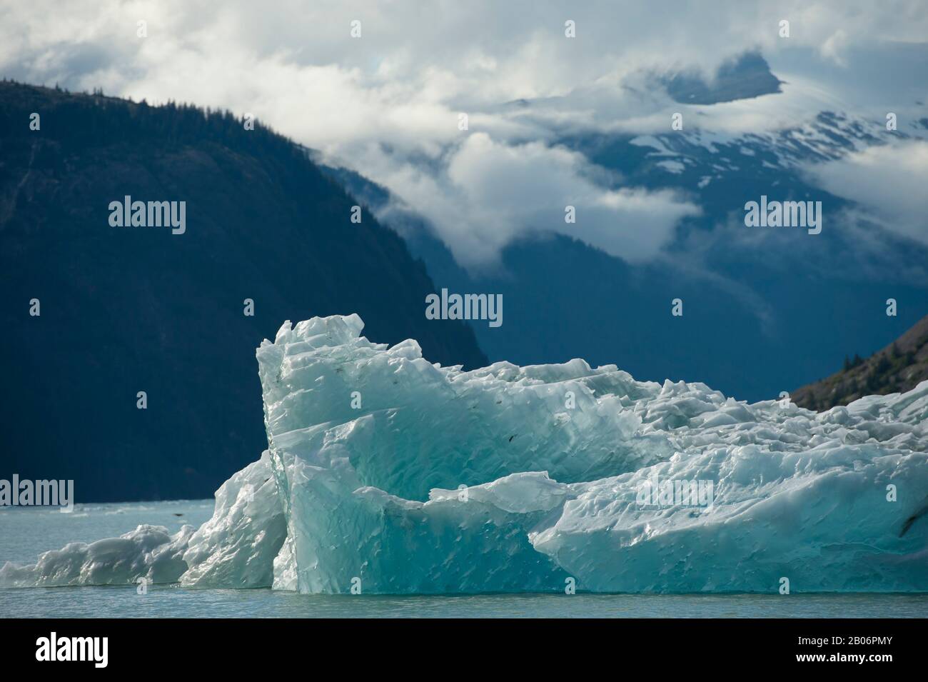 Iceberg floating near the Dawes Glacier, Endicott Arm, Tongass National ...
