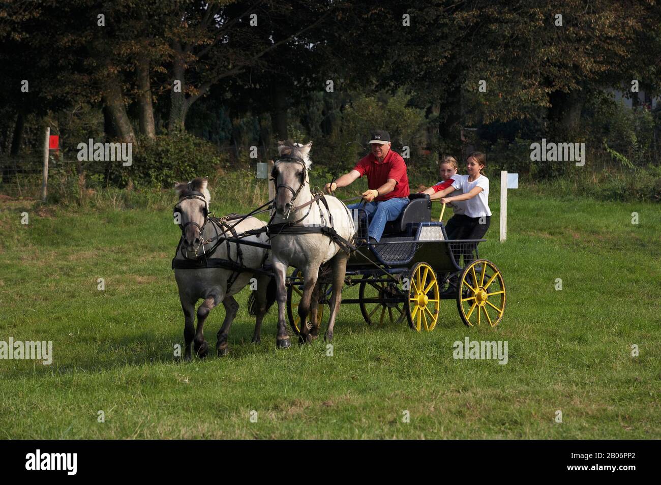 Pulling carriage hi-res stock photography and images - Alamy