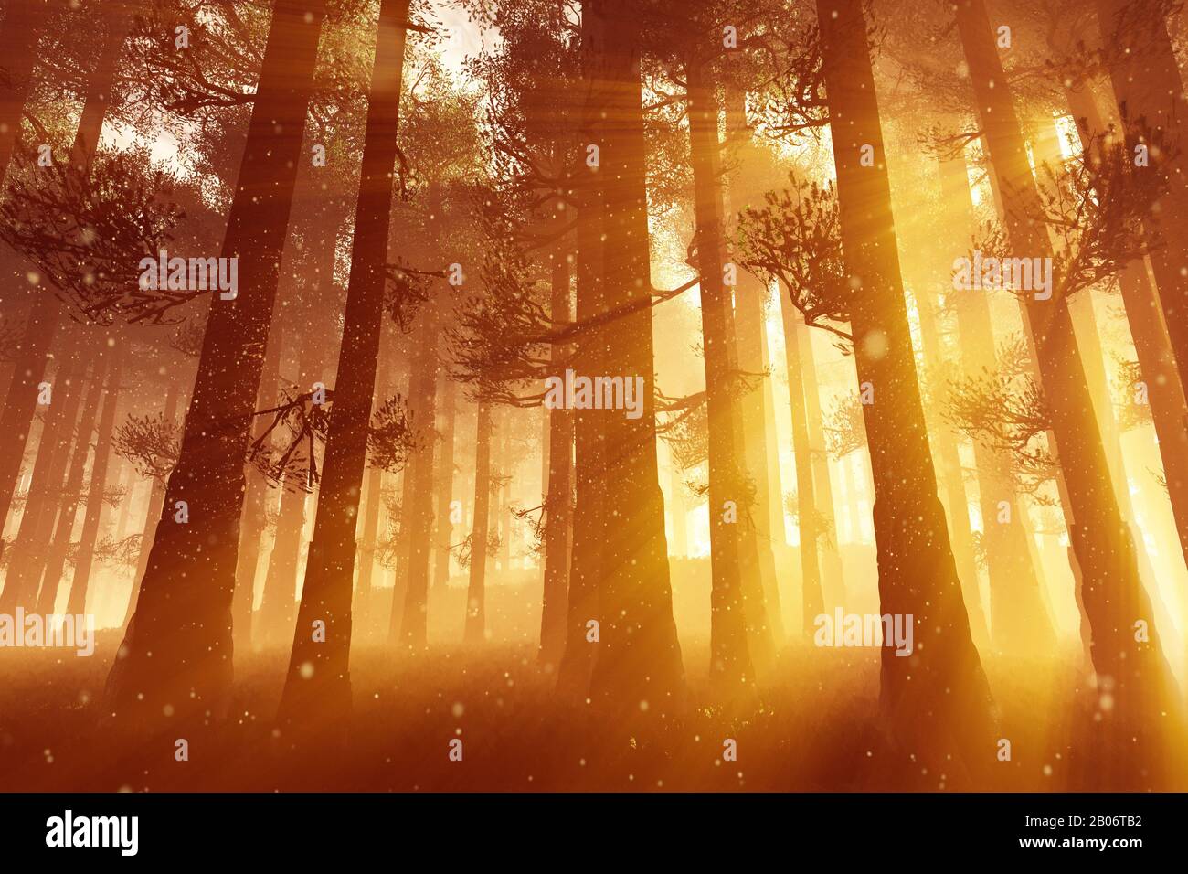 Mysterious Fairy Tale Deep Magic Forest 3D Illustration Artwork Stock ...