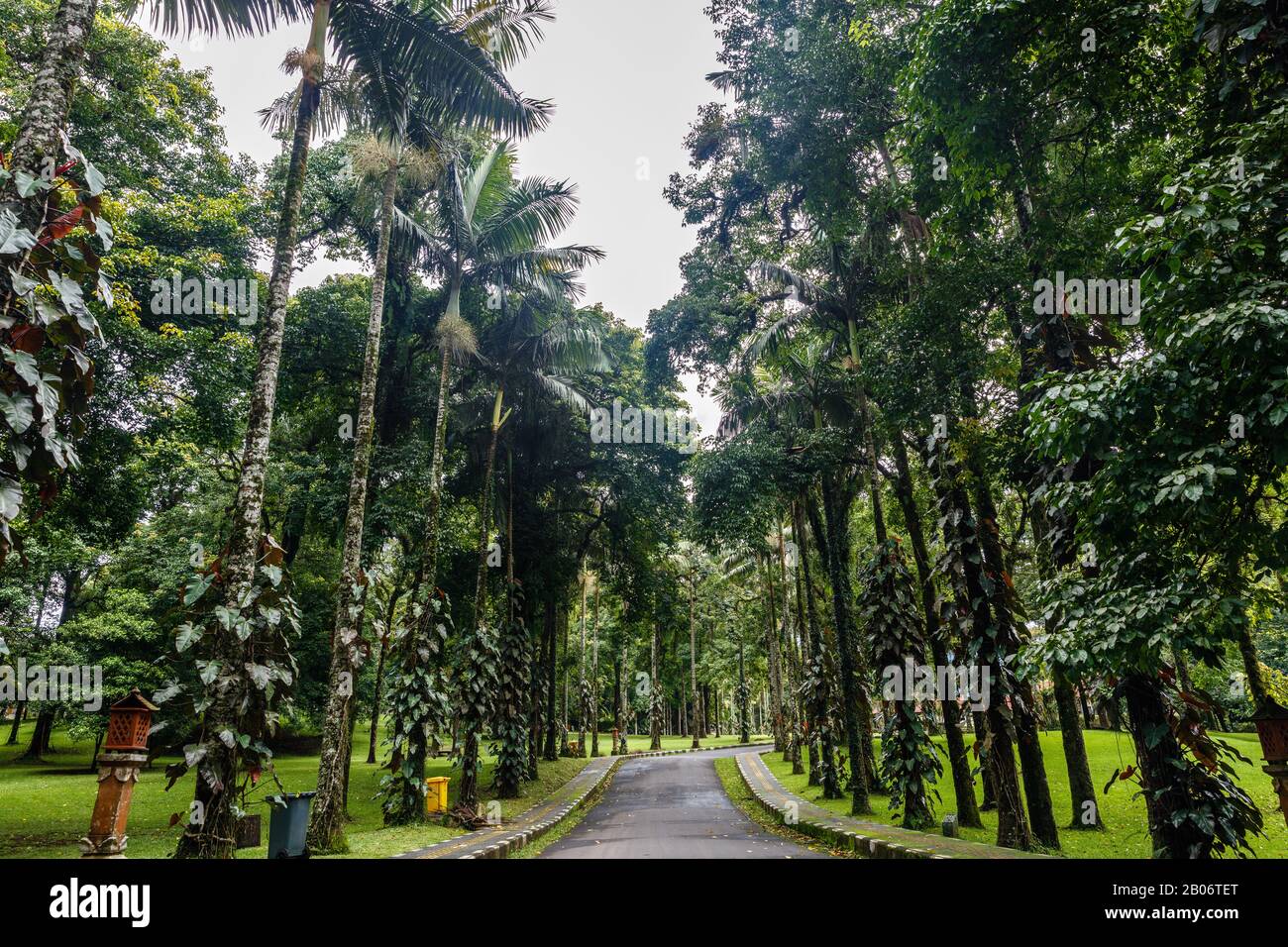 Kebun raya bedugul hi-res stock photography and images - Alamy