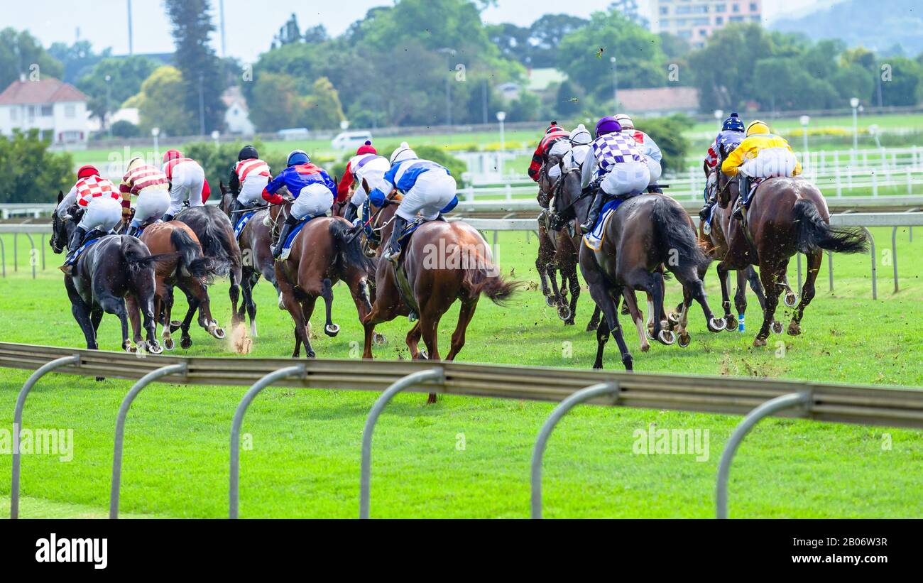 Horse Race Finish Line High Resolution Stock Photography and Images - Alamy