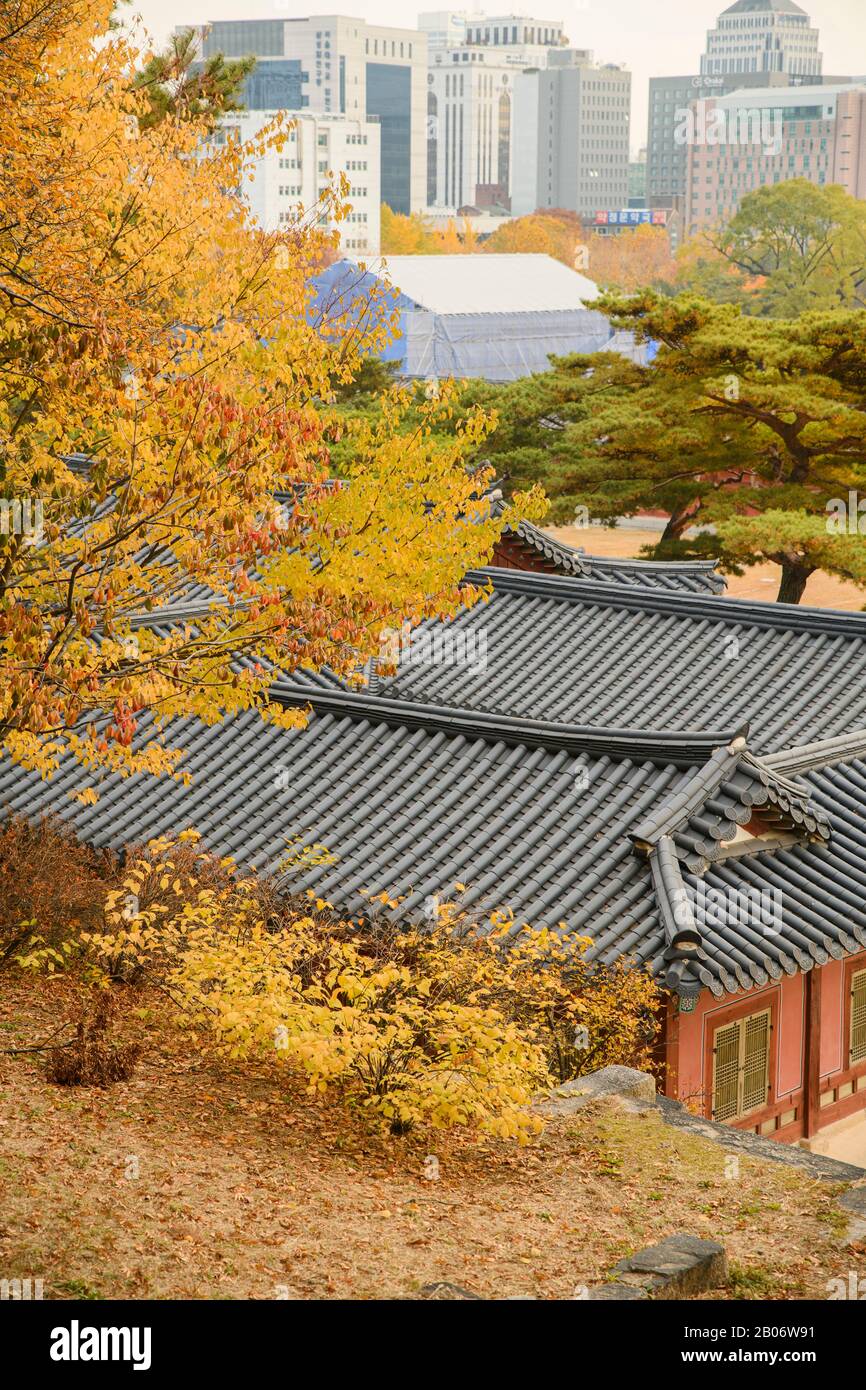 Colorful autumn landscape in the park and the countryside. Beautiful ...