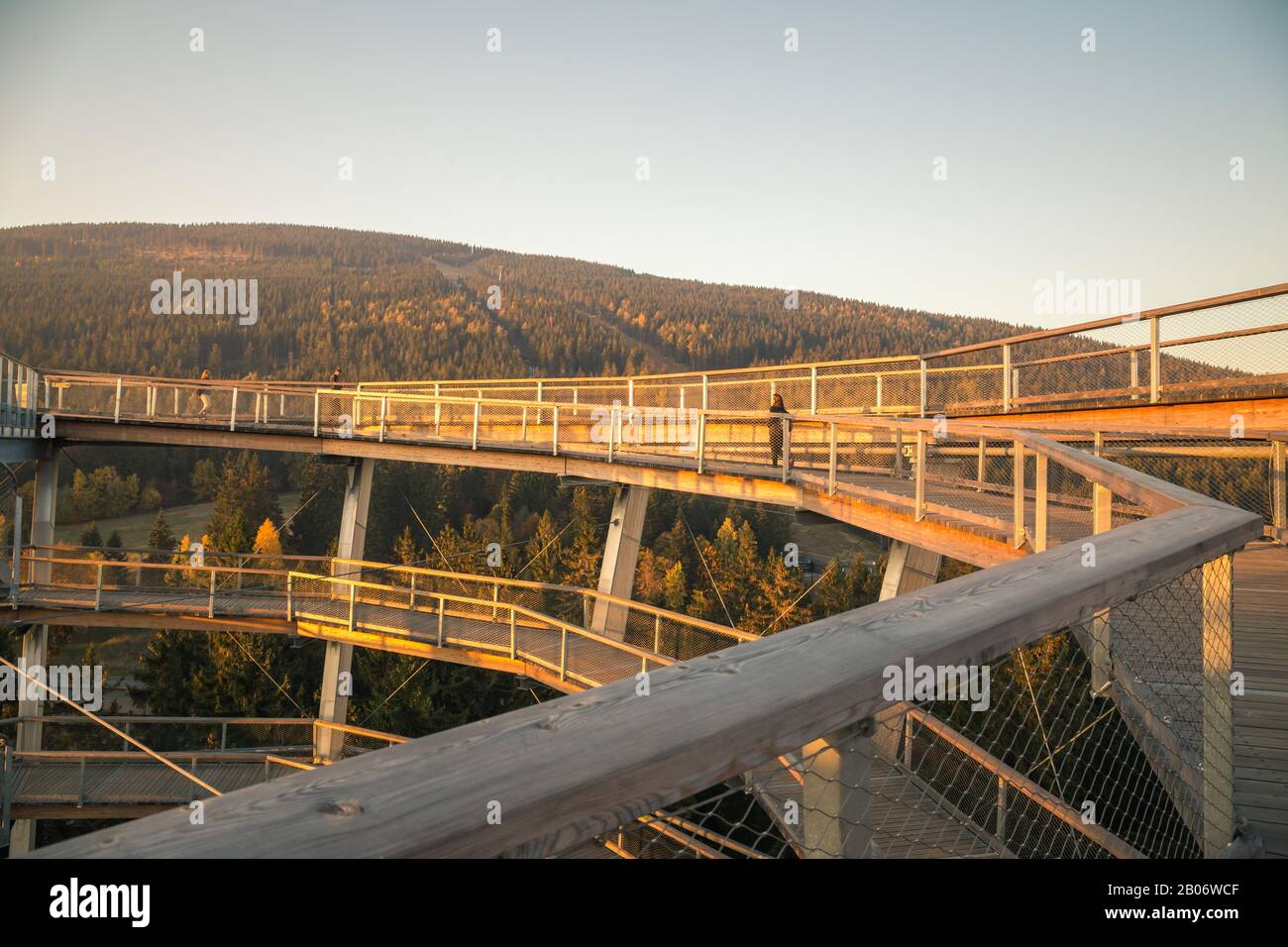 Treetop walkway tower in Janske Lazne in autumn. Stezka korunami stromu ...