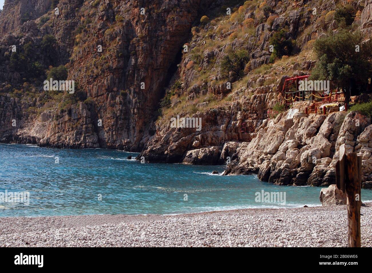 Butterfly key west hi-res stock photography and images - Alamy