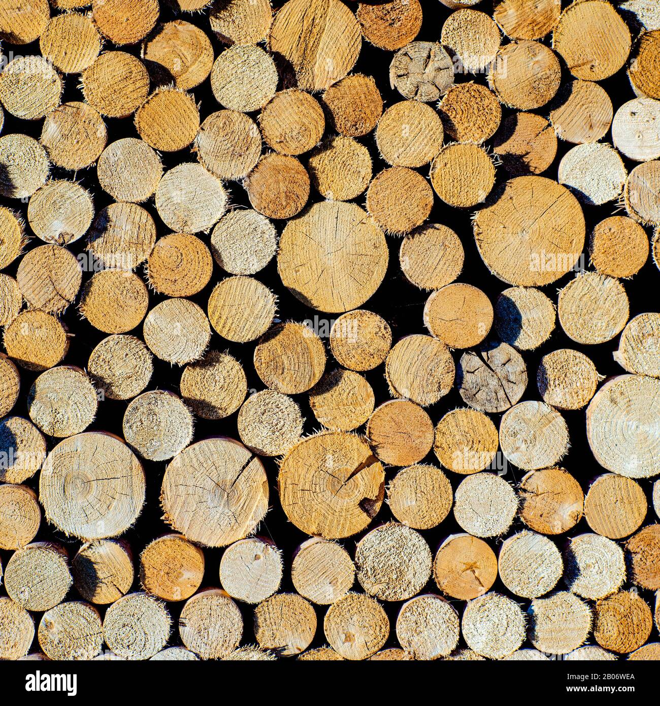 Round logs hi-res stock photography and images - Alamy