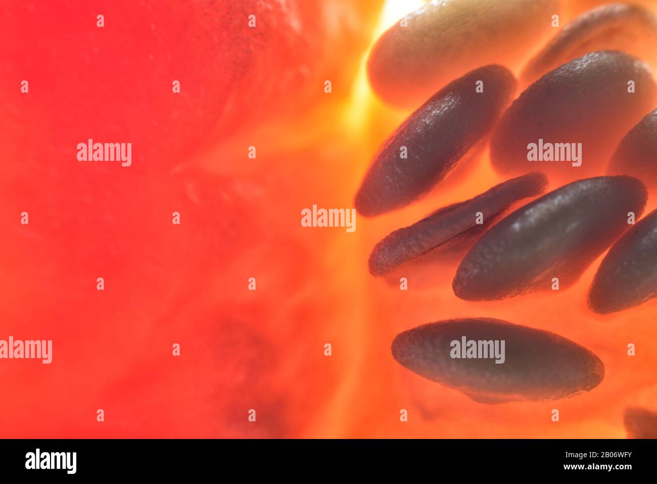 Abstract, close-up view of red pepper. Fresh, fruity background with ...