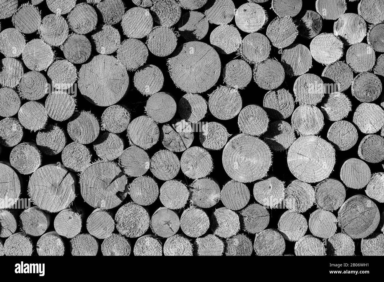 Many round logs in woodpile. Stack of firewood. Black and white Stock ...