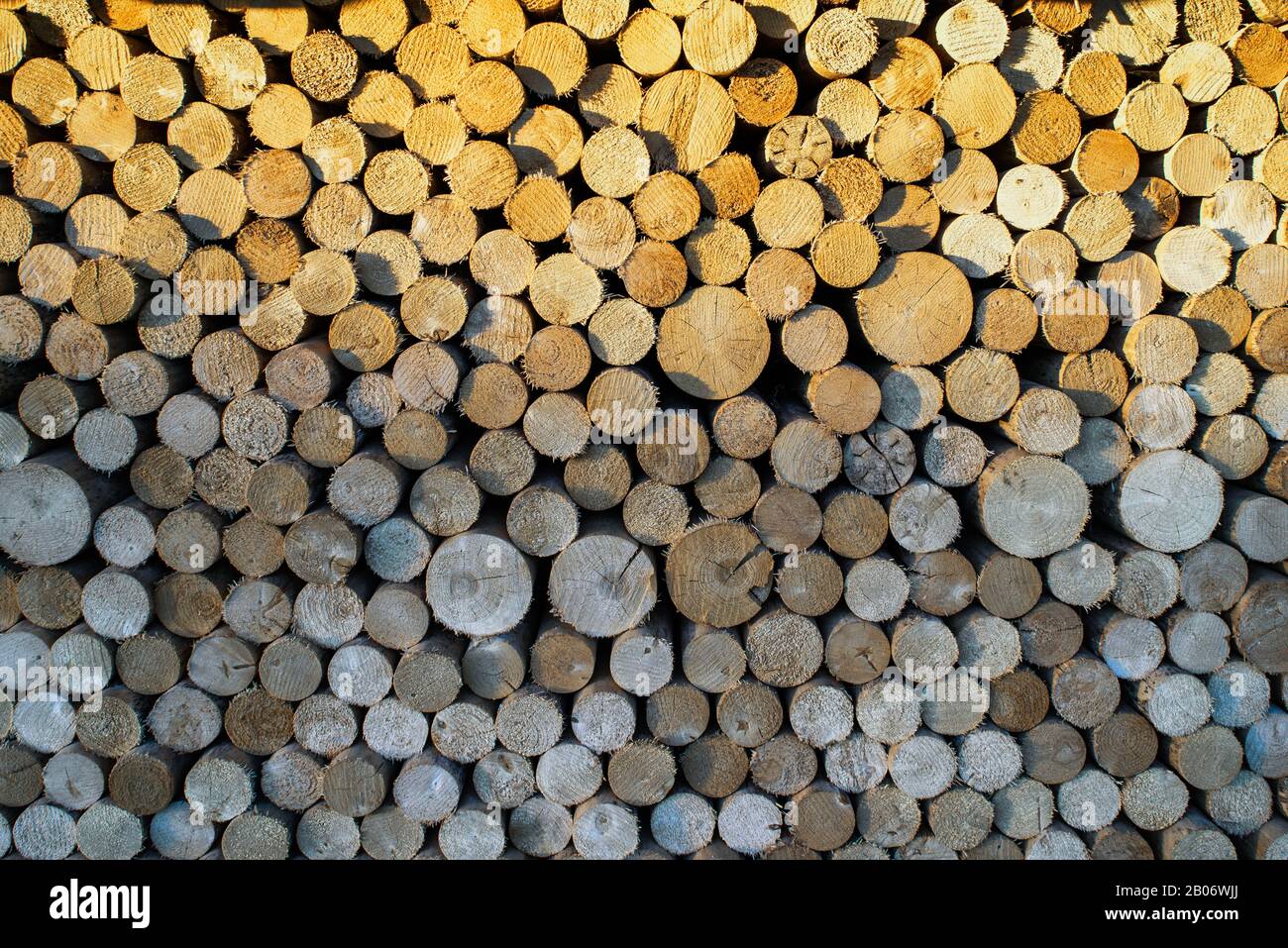 Round logs hi-res stock photography and images - Alamy