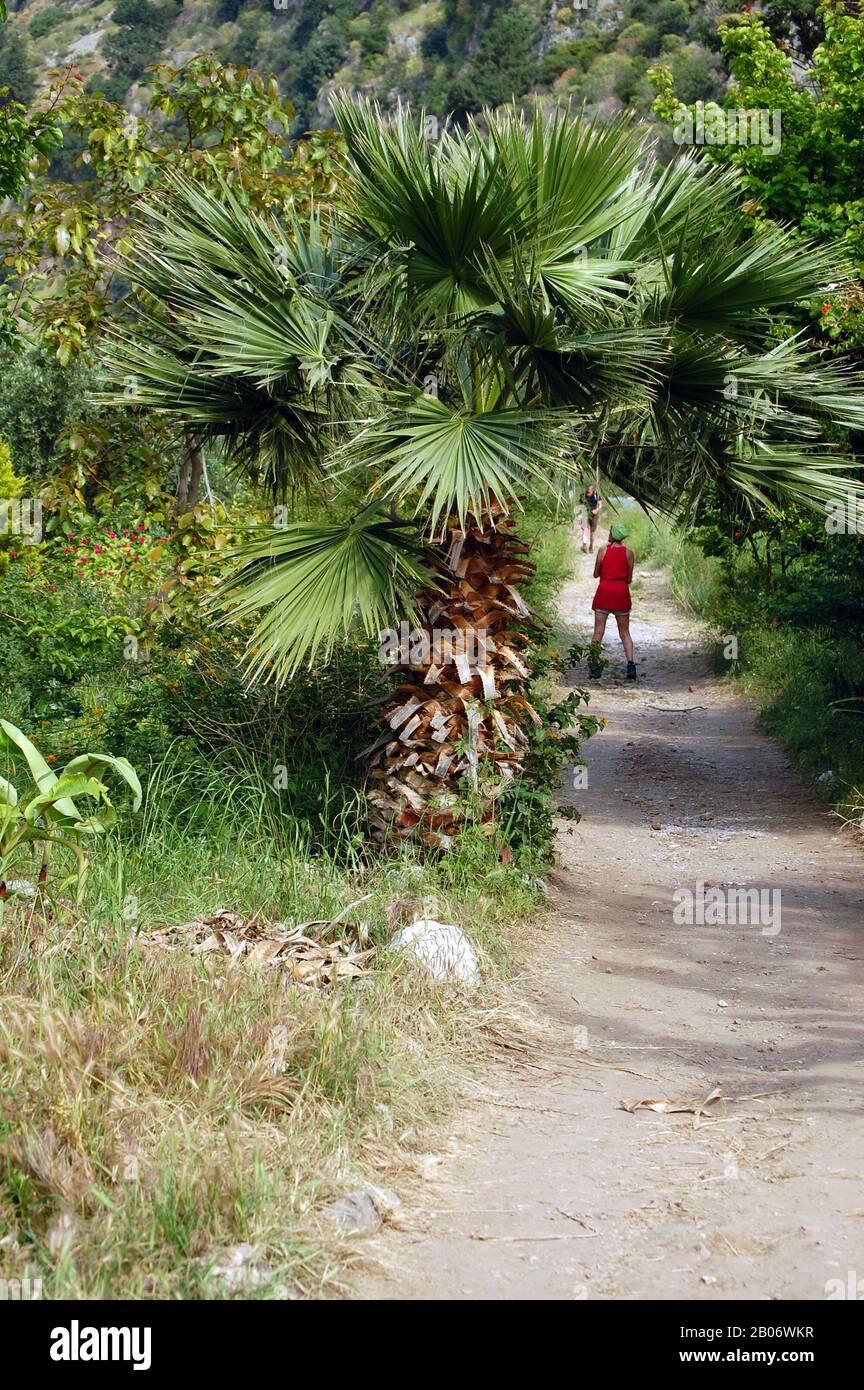 Pathway in nature Stock Photo - Alamy
