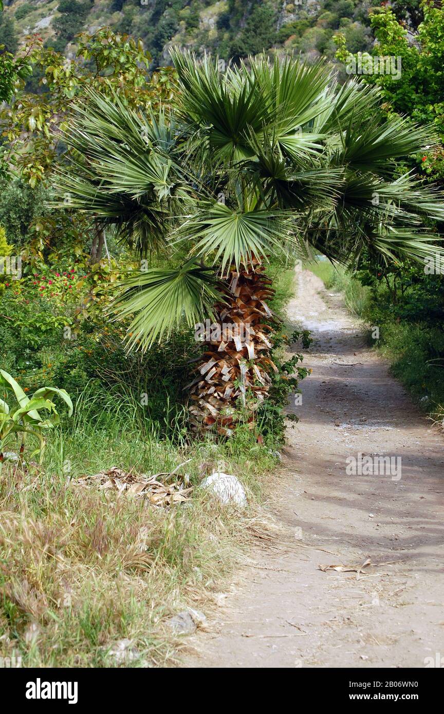 Pathway in nature Stock Photo - Alamy