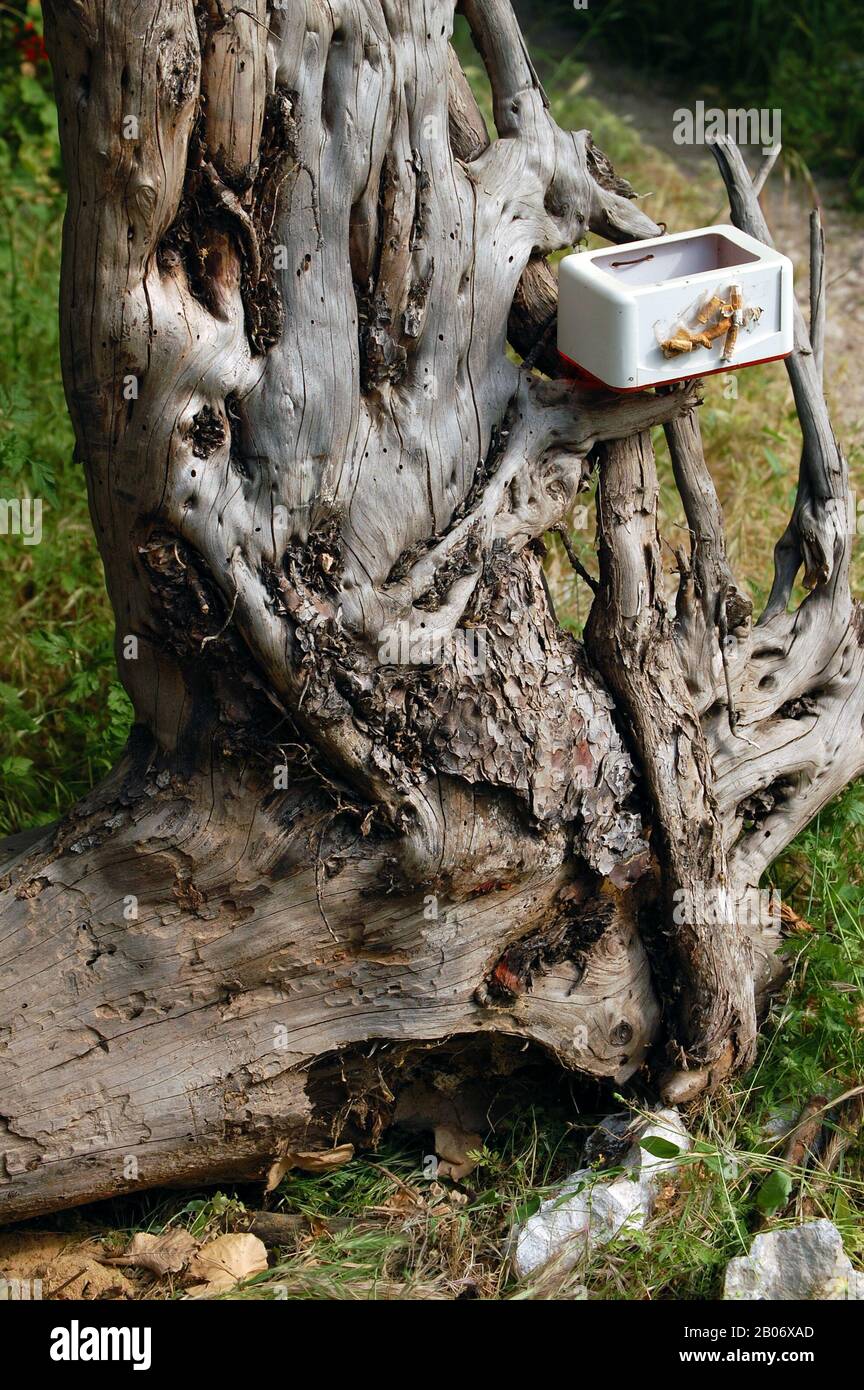 Human tissue box hi-res stock photography and images - Alamy