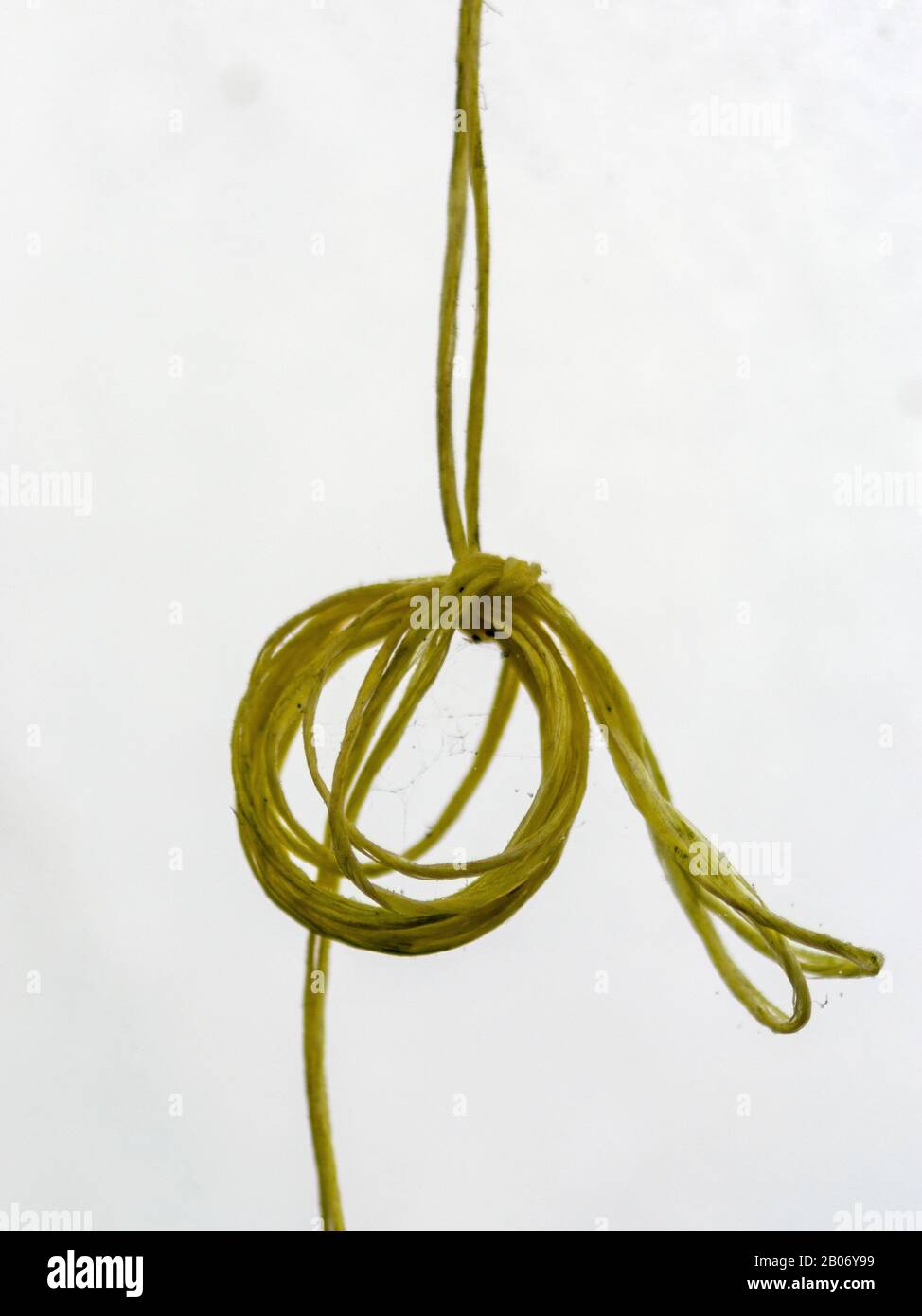 abstract picture with yellow twine texture, twine ball on fuzzy ...