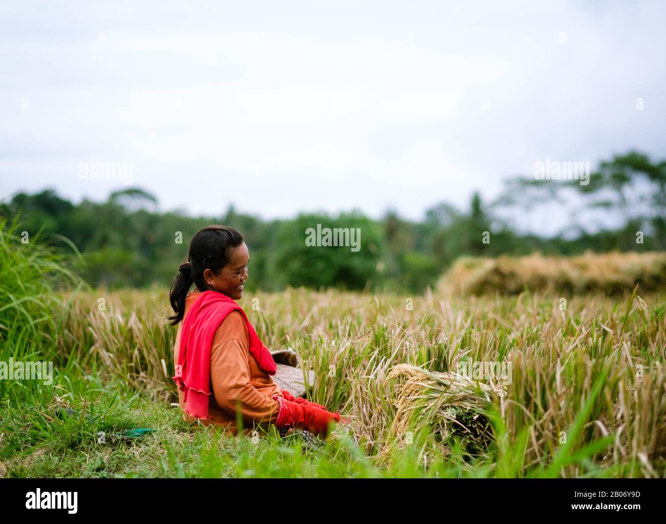 Farming in Bali Stock Photo - Alamy