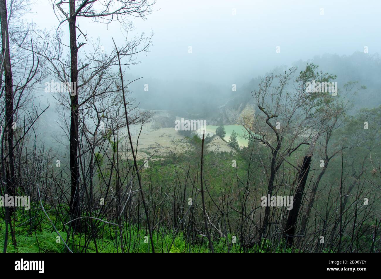 Dead trees on the Colourful Sulphureous Crater lakes Wawo muda volcano ...