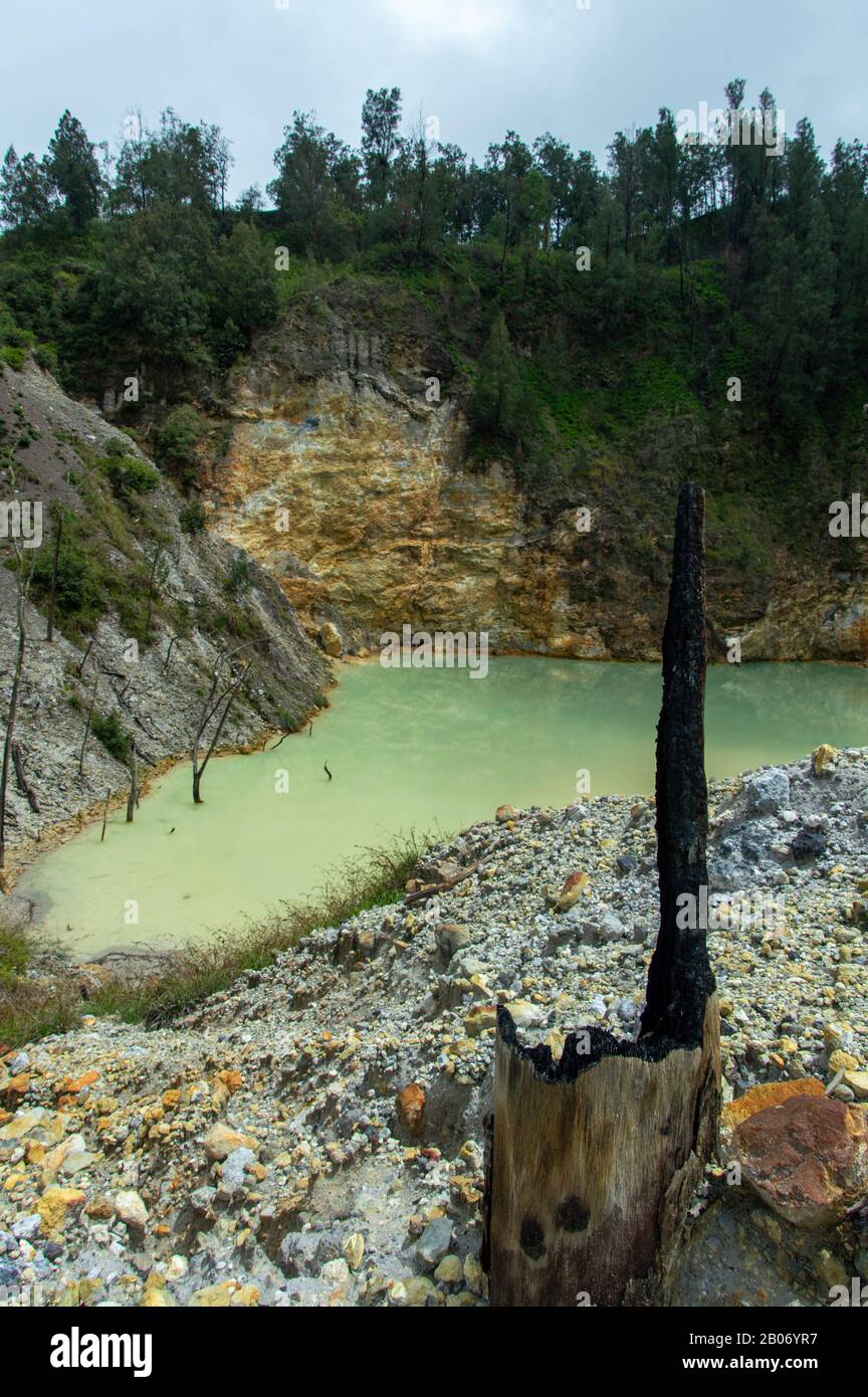 Dead trees on the Colourful Sulphureous Crater lakes Wawo muda volcano ...