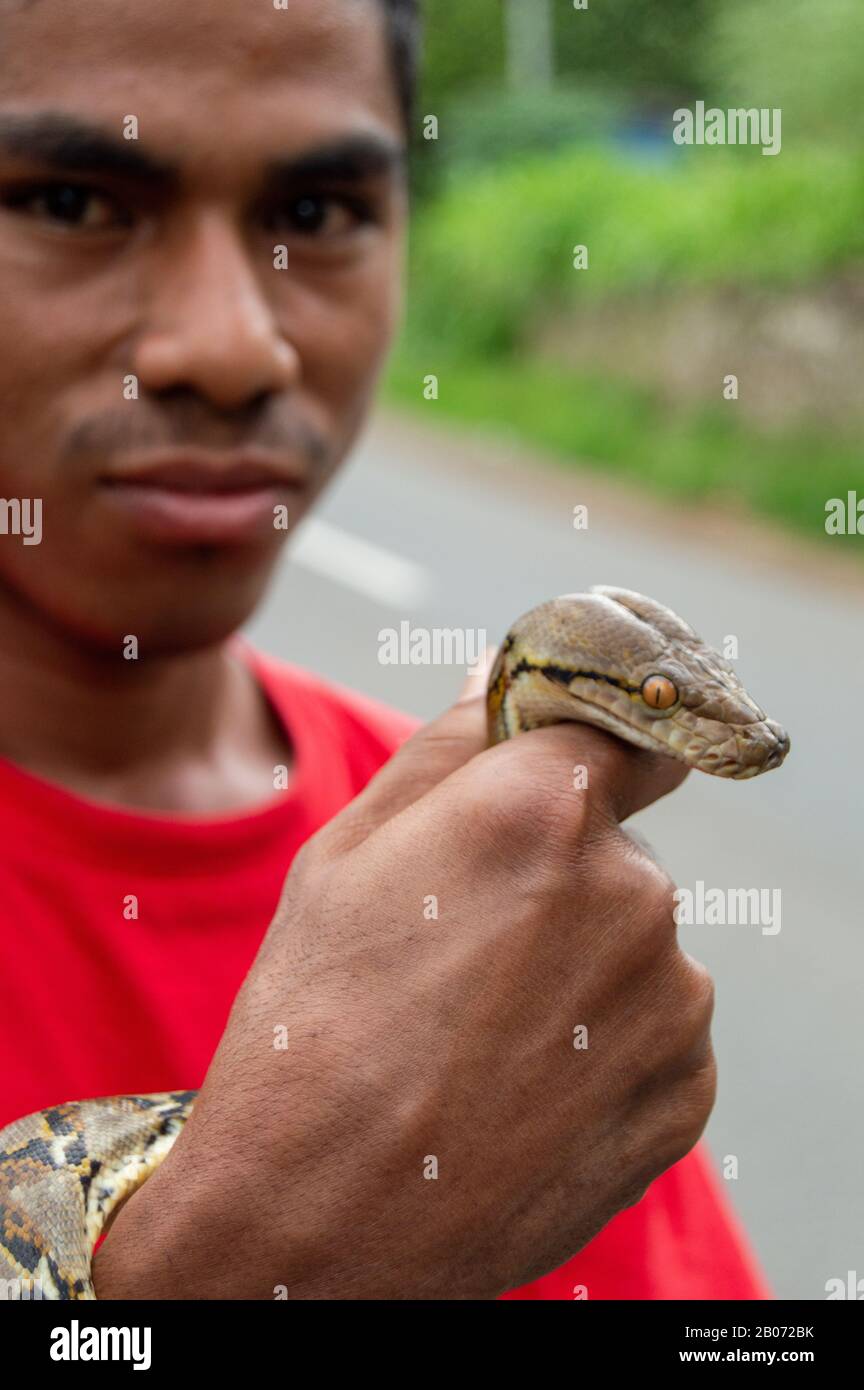 Boy holding a snake hi-res stock photography and images - Alamy