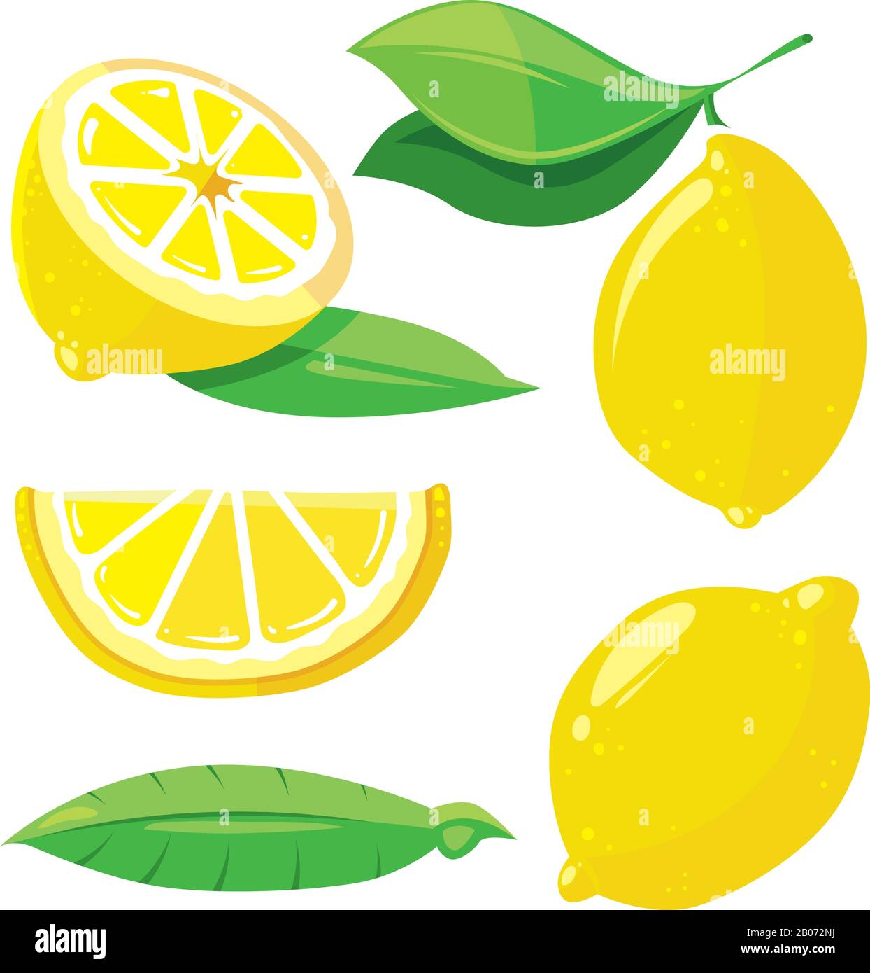 Fresh lemons with leaves, lemon slice isolated on white, vector set in ...