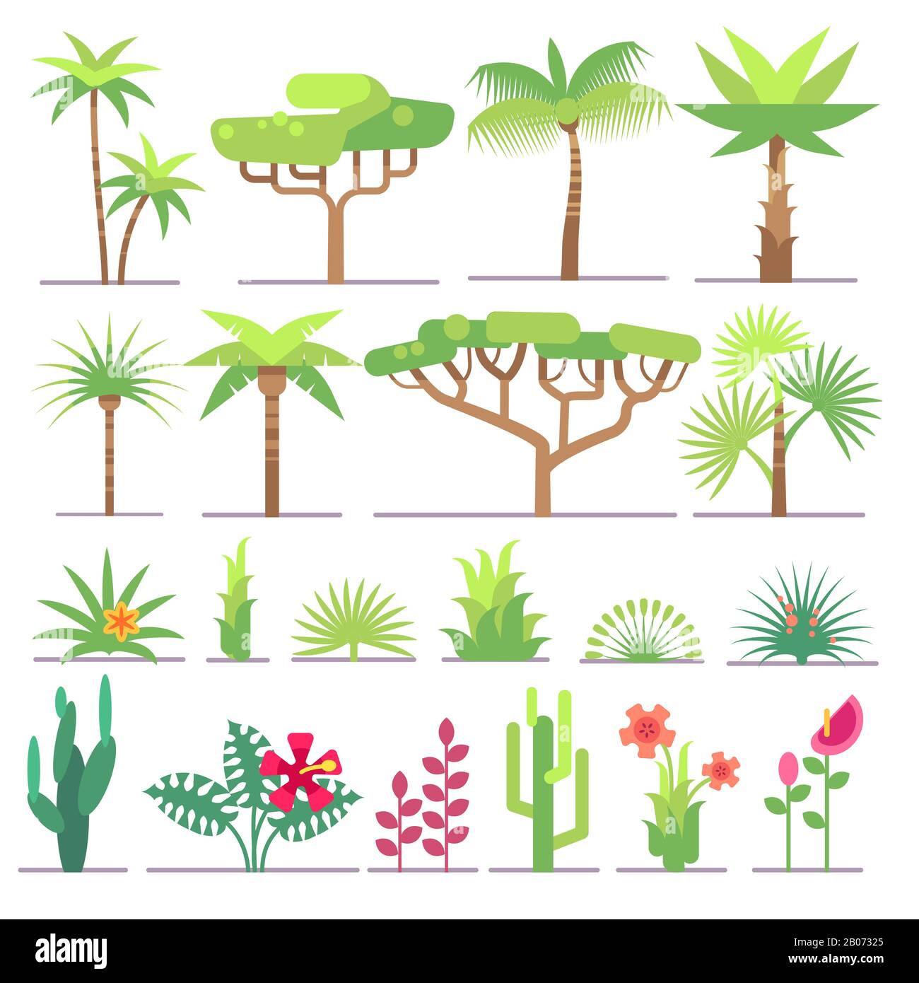 Kinds Of Plants Trees