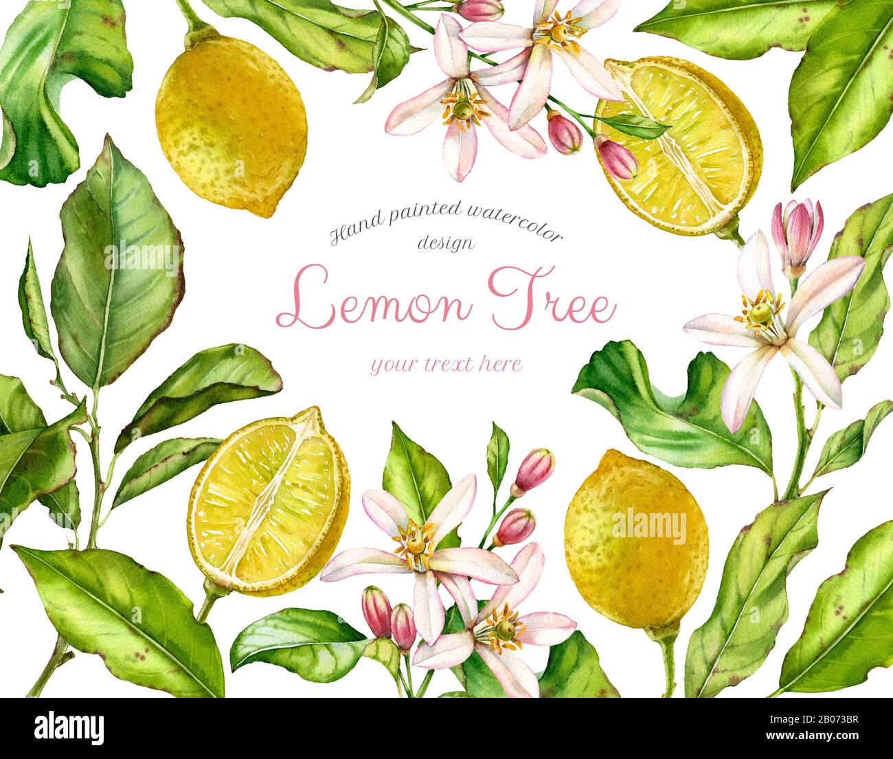 Watercolor Lemon fruits. Frame with branches, flowers, leaves ...