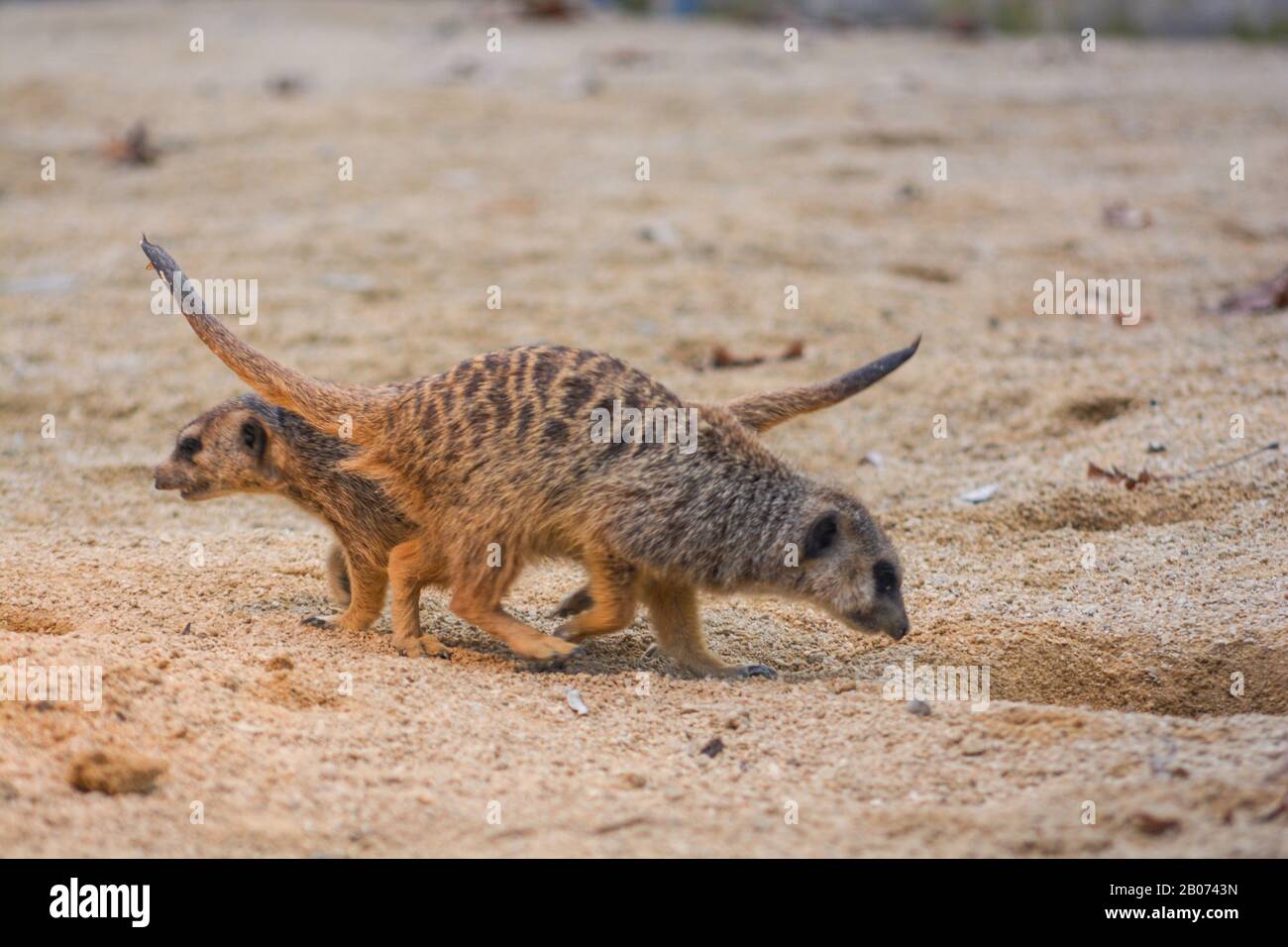 Southern germnay hi-res stock photography and images - Alamy