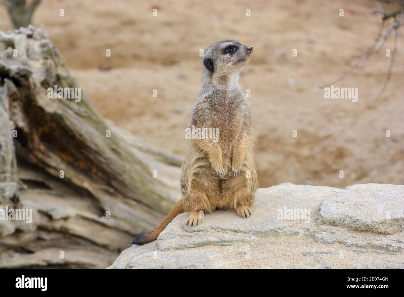 Southern germnay hi-res stock photography and images - Alamy