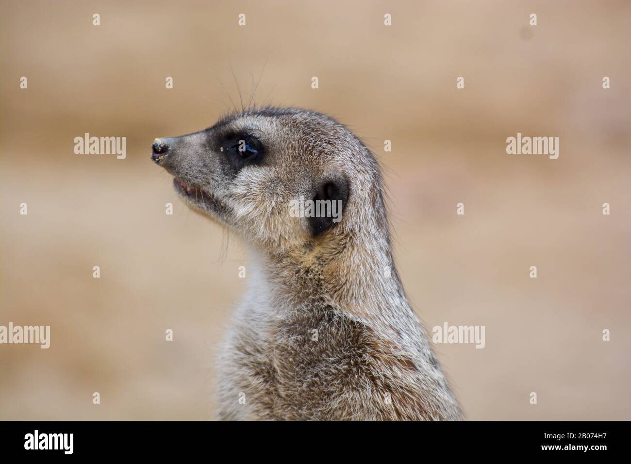 Southern germnay hi-res stock photography and images - Alamy