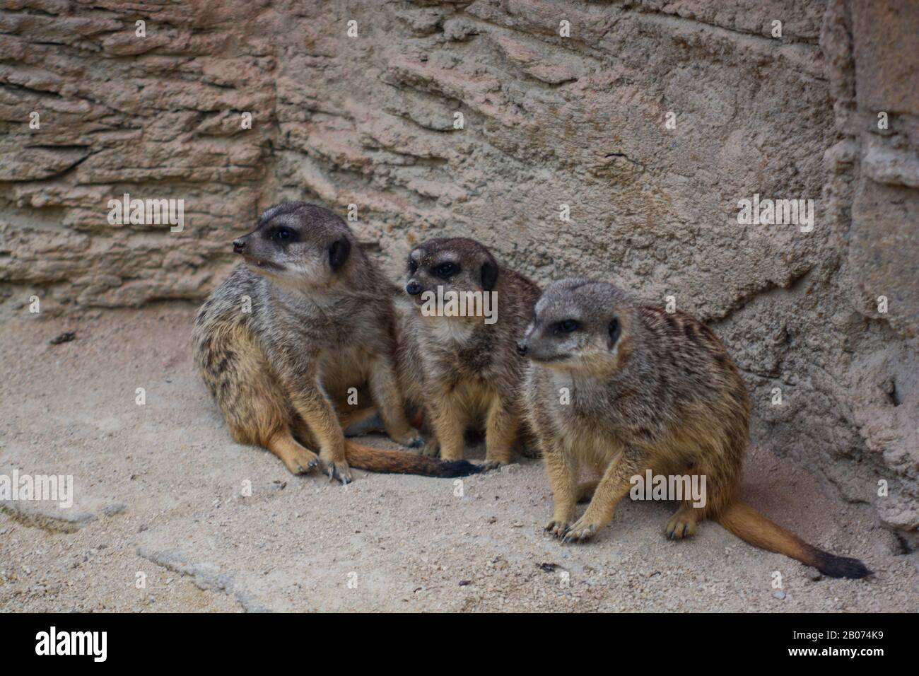 Southern germnay hi-res stock photography and images - Alamy