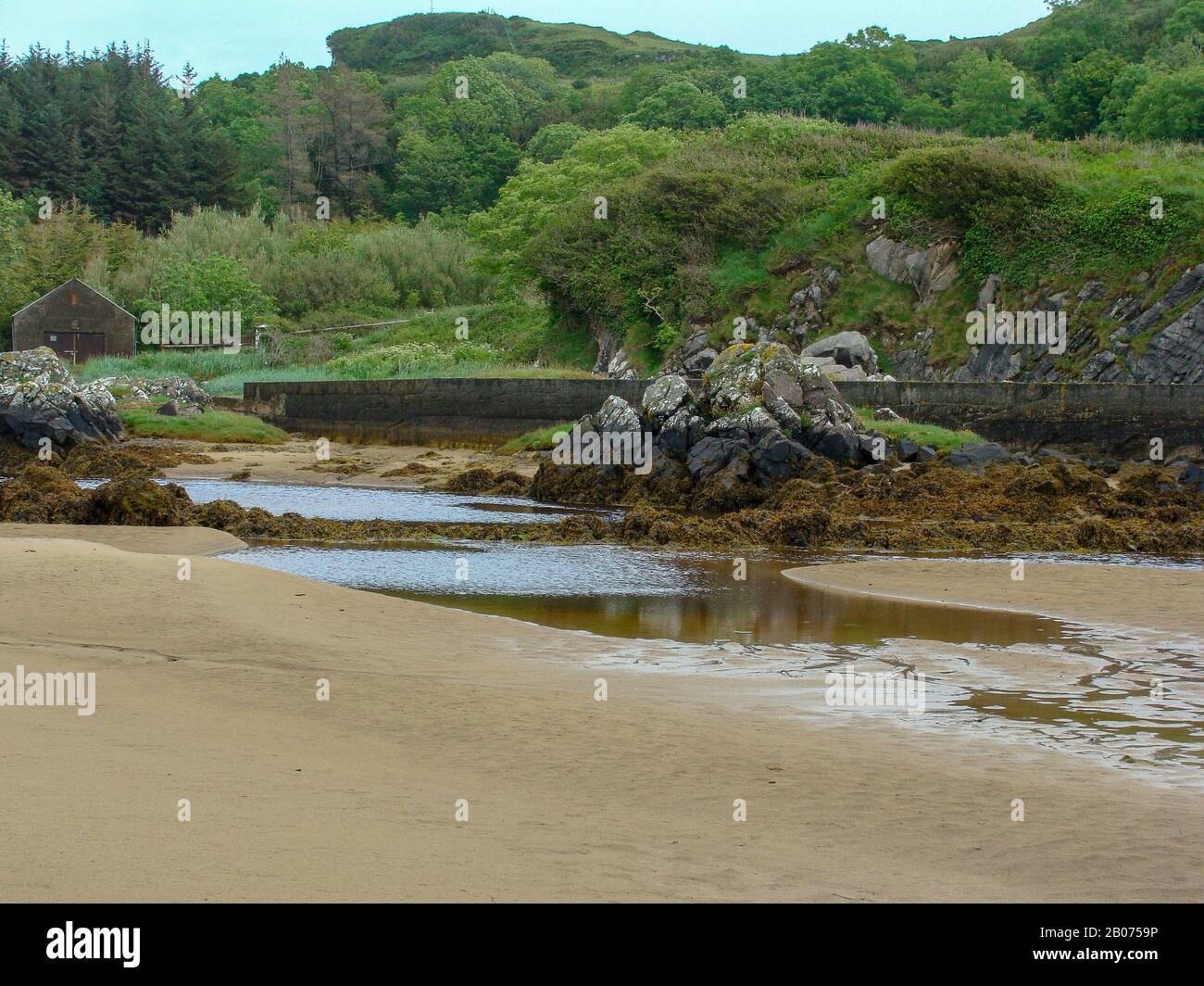 ocean coastline, water retreating, sand, seaweed, rocks and green hills ...