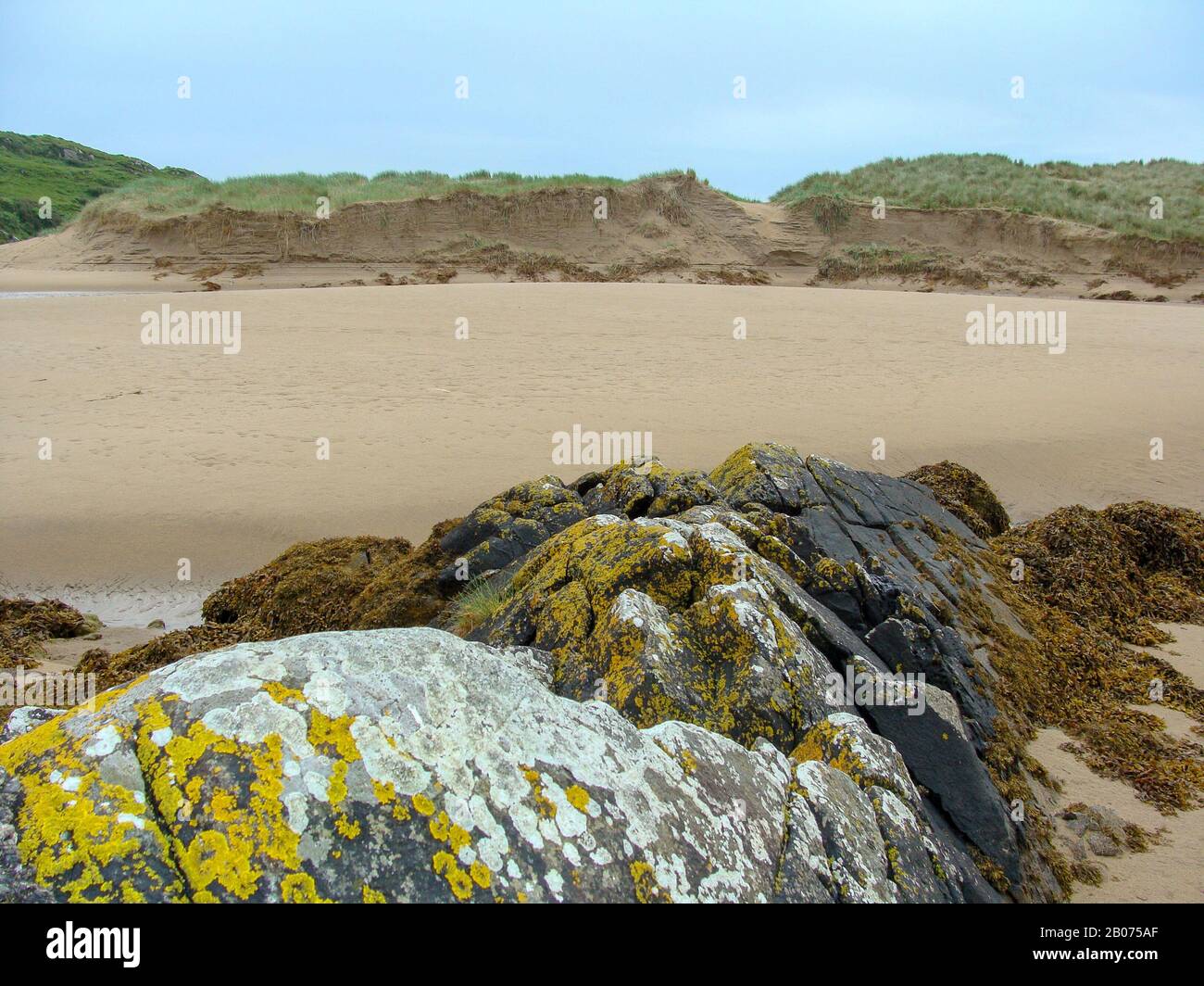 ocean coastline, water retreating, sand, seaweed, rocks and green hills ...