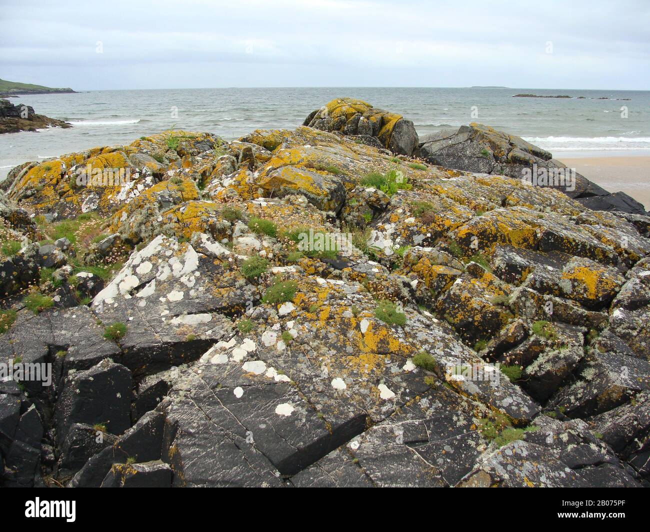 picture of rocks on the ocean shore, rocks overgrown with colored moss ...