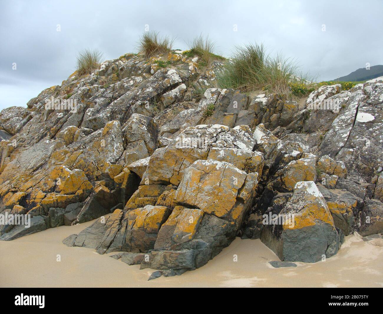 picture of rocks on the ocean shore, rocks overgrown with colored moss ...