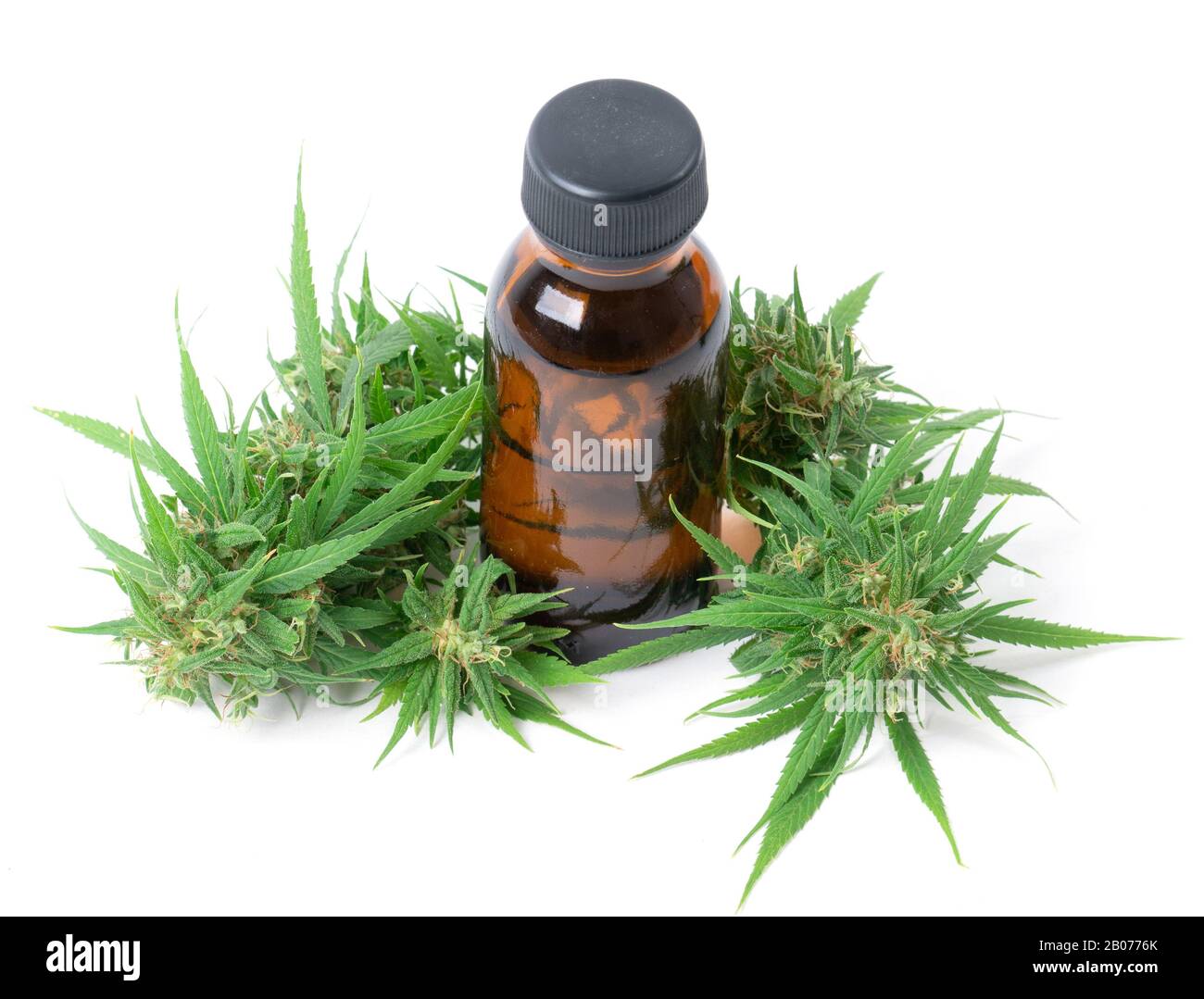 cannabis with cannabidiol (cbd) extract isolated on white background ...