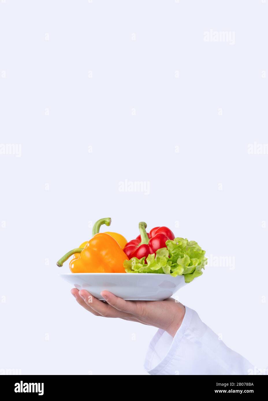 Chef's Hand Holding Plate With Vegetables On White Background, Vertical ...