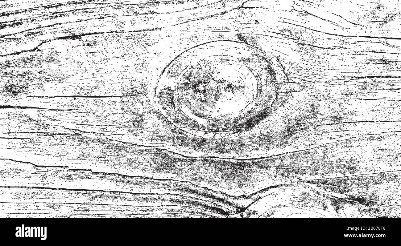 Wood tree vector nature texture background. Natural border from ...