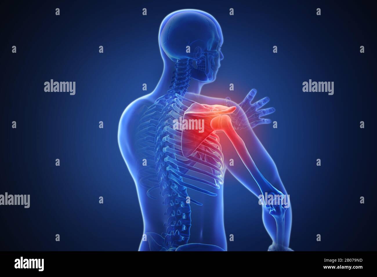 Highlighted shoulder joint hi-res stock photography and images - Alamy