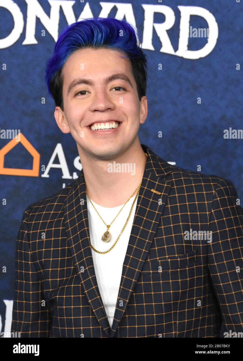 Hollywood, California, USA 18th February 2020 Bryan Raul attends Disney ...