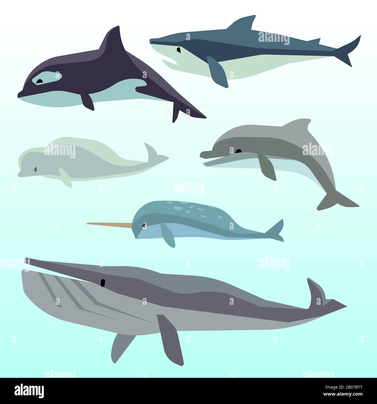 Whales and dolphins, marine underwater mammal, ocean animals flat ...