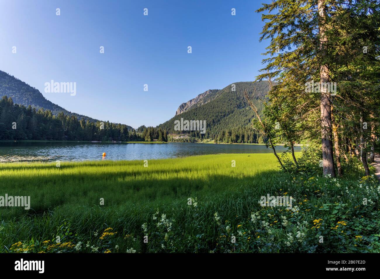 Spitzingsee hi-res stock photography and images - Alamy
