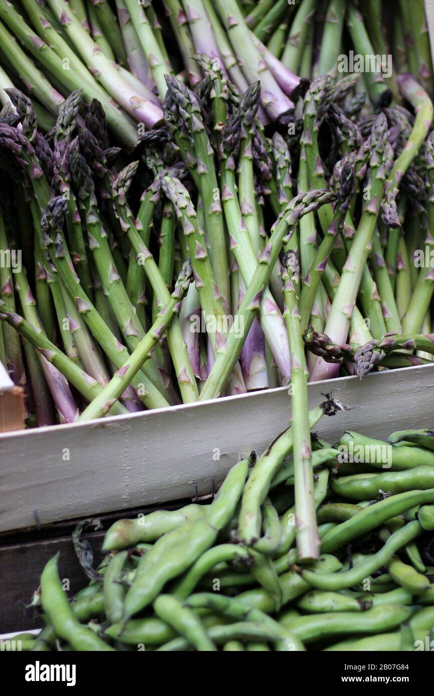 Vegetable farmers and farming hi-res stock photography and images - Alamy