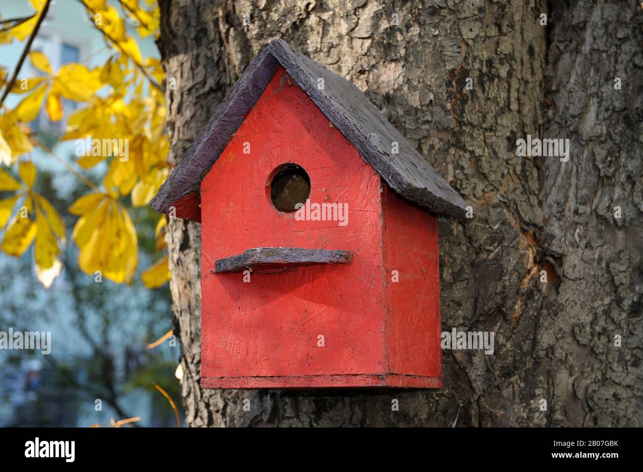 Handmade nesting boxes hanging on a tree Stock Photo - Alamy