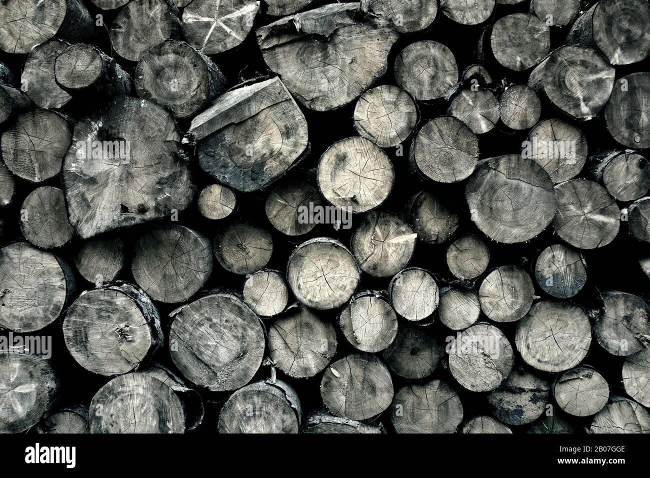 Tree rings background. Cutted pie of trees Stock Photo - Alamy