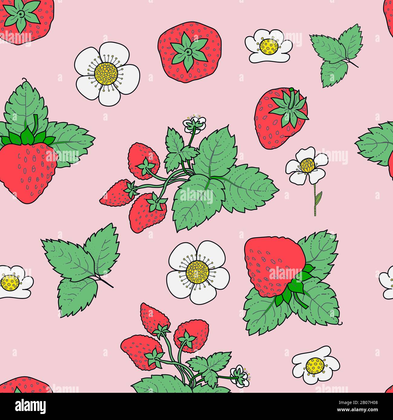 Vector strawberry seamless pattern. Background design Stock Vector Image & Art - Alamy