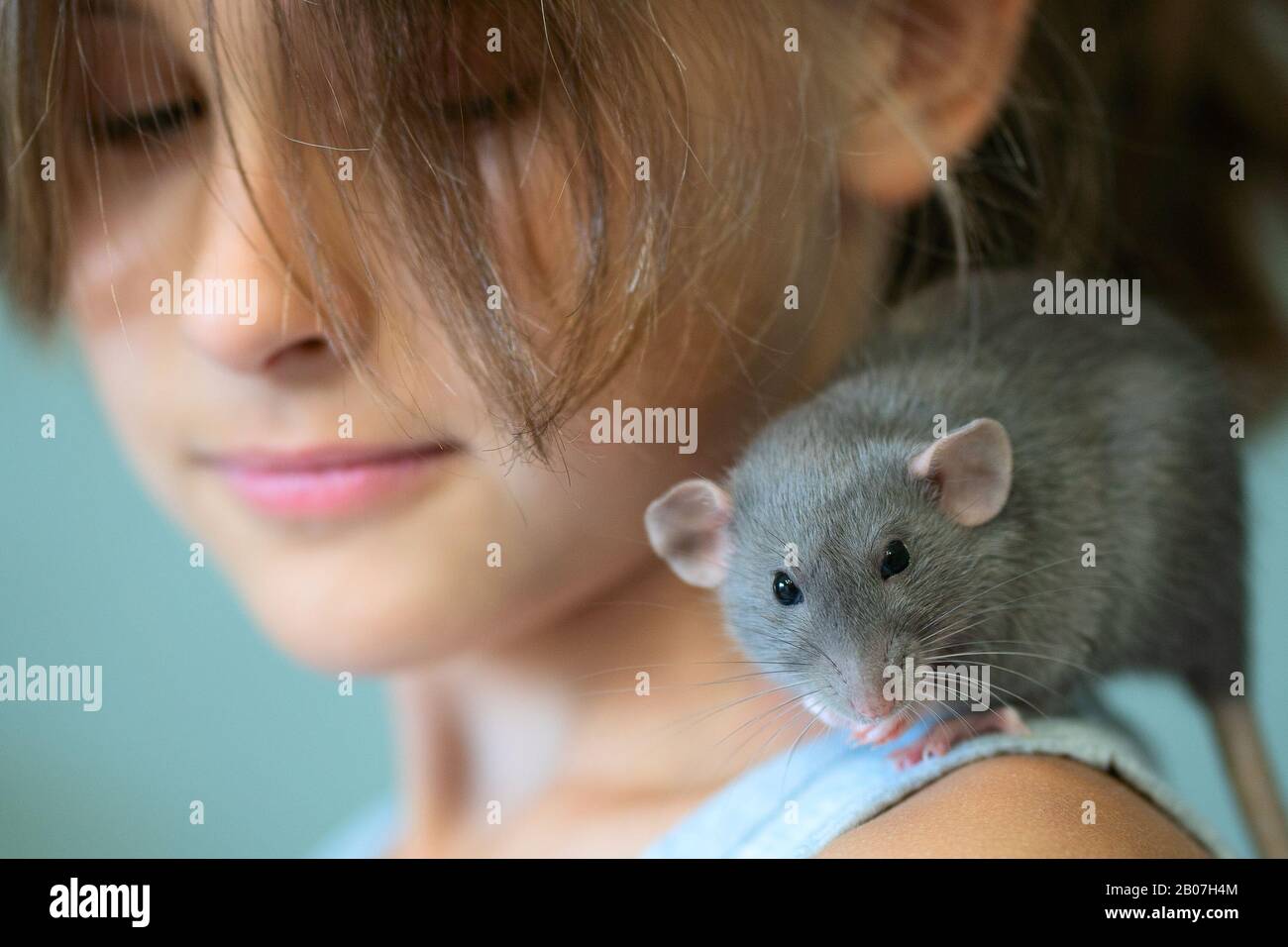 Girl with a rat on his shoulder. Gray rat with black eyes. Favorite pet ...