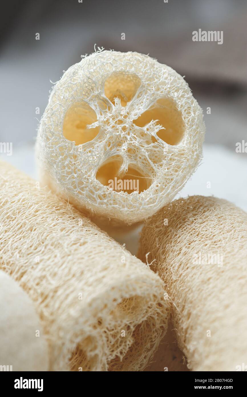 Luffa sponge for zero waste dish washing or bath Stock Photo - Alamy