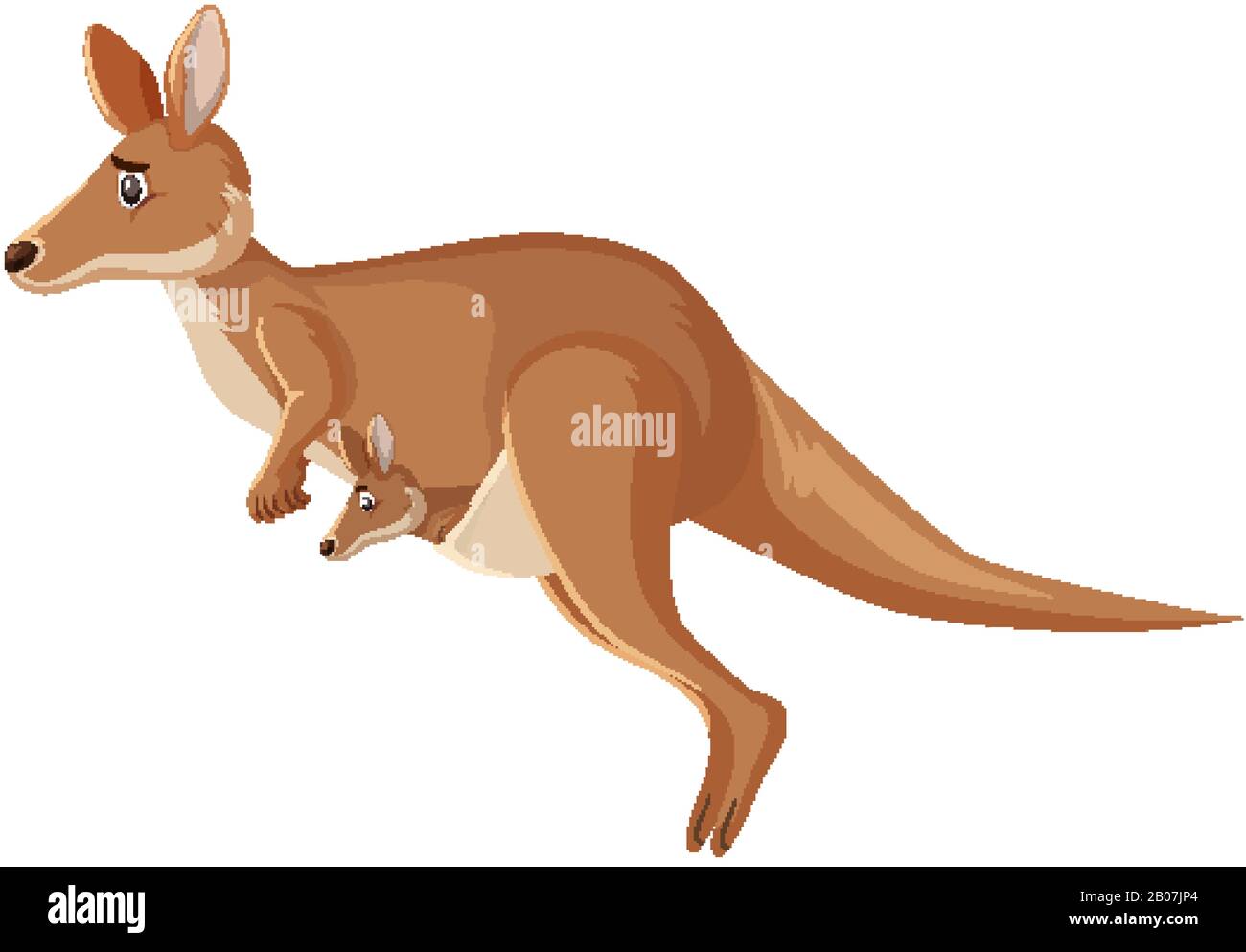Sad kangaroo standing on white background illustration Stock Vector ...