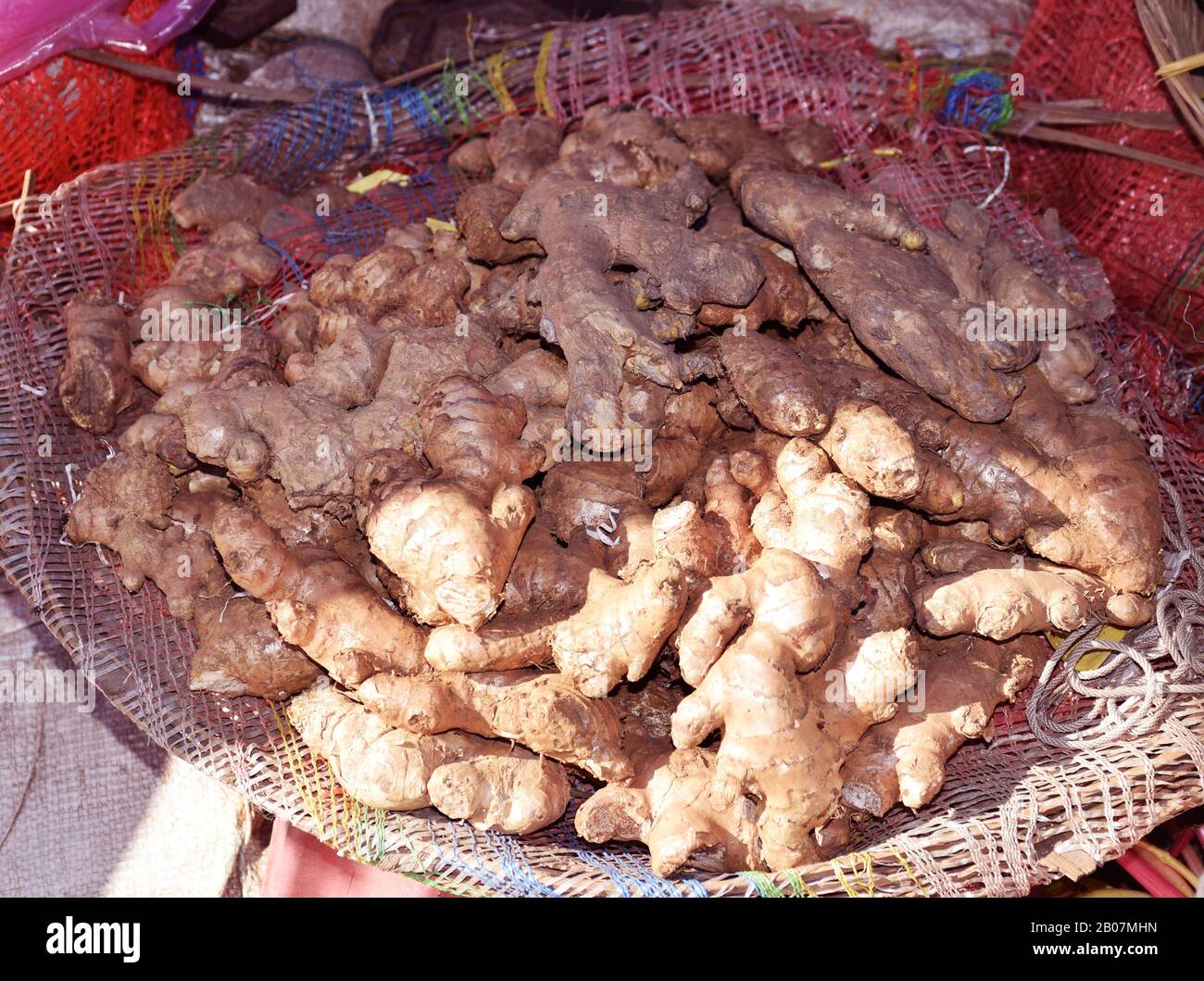 Ginger for sale in local Indian vegetable market. Ginger is also called ...