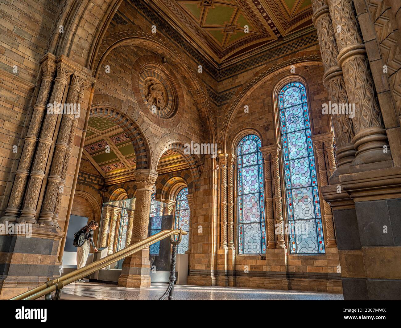 Natural history museum windows hi-res stock photography and images - Alamy