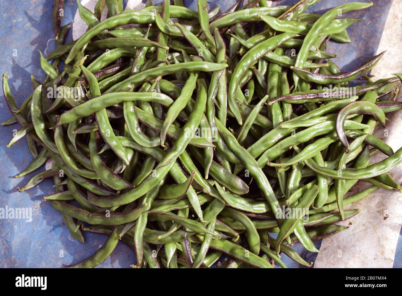 Sheem vegetable or Sim in Indian vegetable market Stock Photo - Alamy